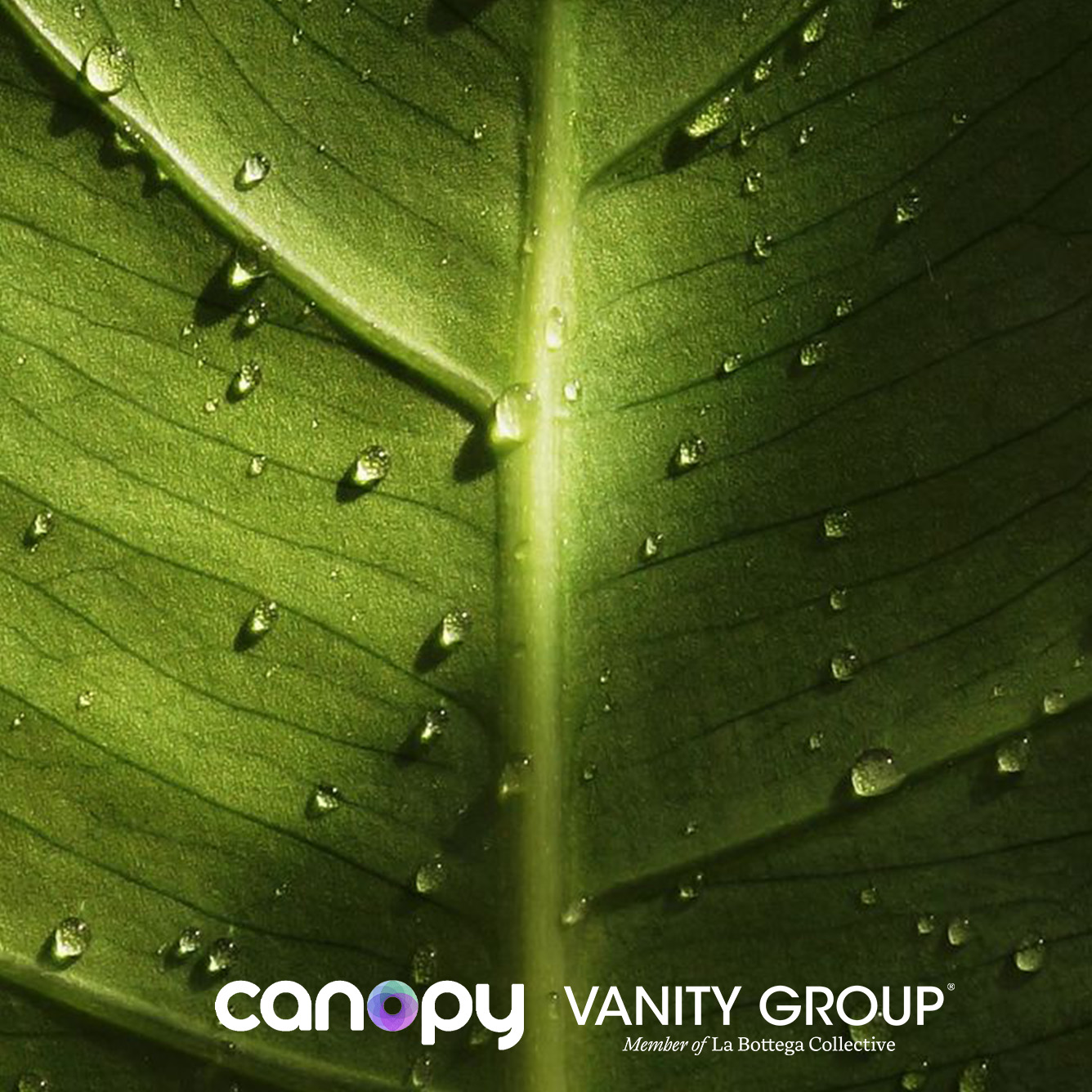 VANITY GROUP SIGNS ONTO CANOPY'S PACK4GOOD INITIATIVE | Servizi e dotazioni dell'hotel Vanity Group